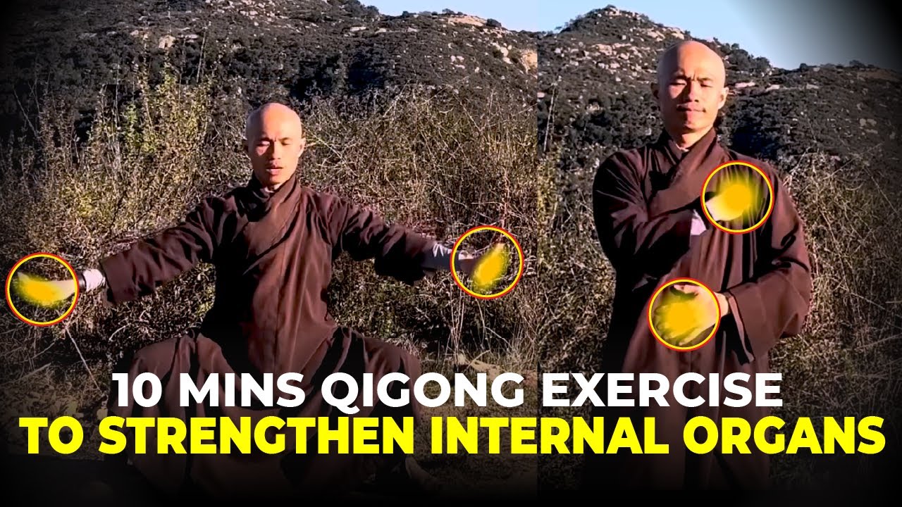 10-Minute Qigong Exercise for Organ Health & Energy Circulation | Thich ...