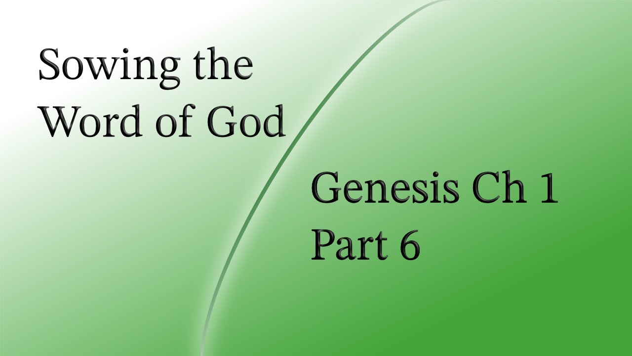 Genesis Chapter 1 Part 6 YouTube genesis-chapter-1-part-6-youtube