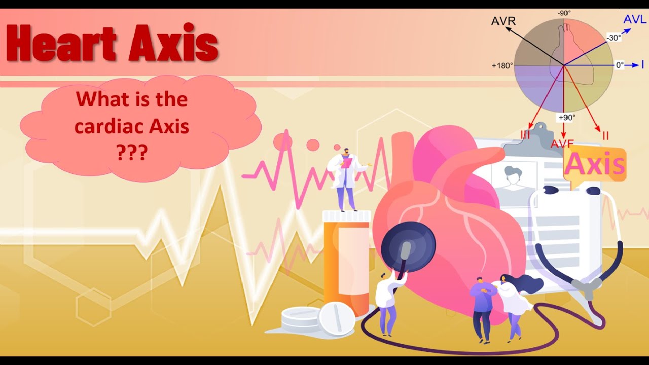 How to determine heart axis | heart axis interpretation | principles ...