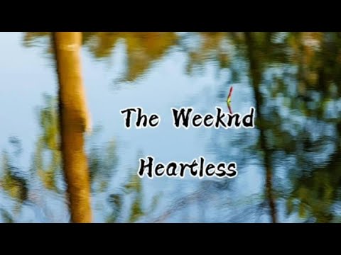 The Weeknd- Heartless (lyrics) - YouTube