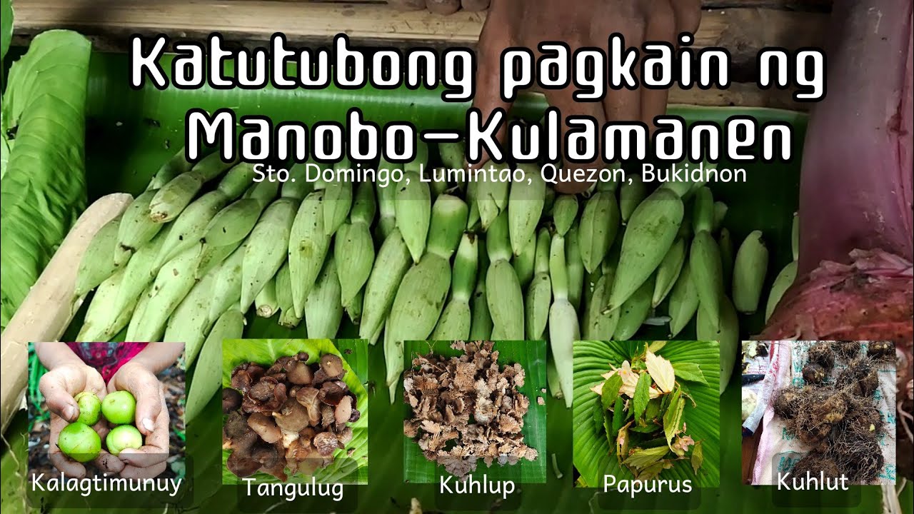 Mga katutubong pagkain ng Manobo-Kulamanen ng Quezon, Bukidnon ...