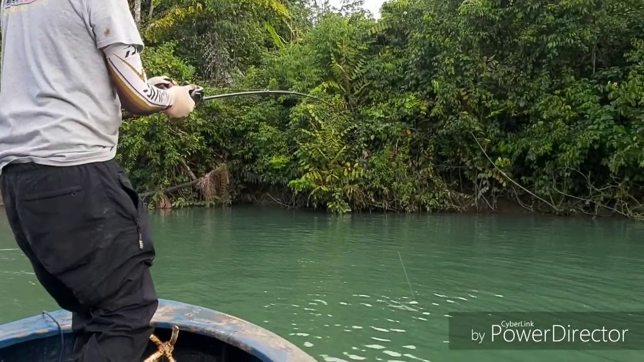 Fishing Spot Seram Island/Ambon BlackBass Fish - YouTube