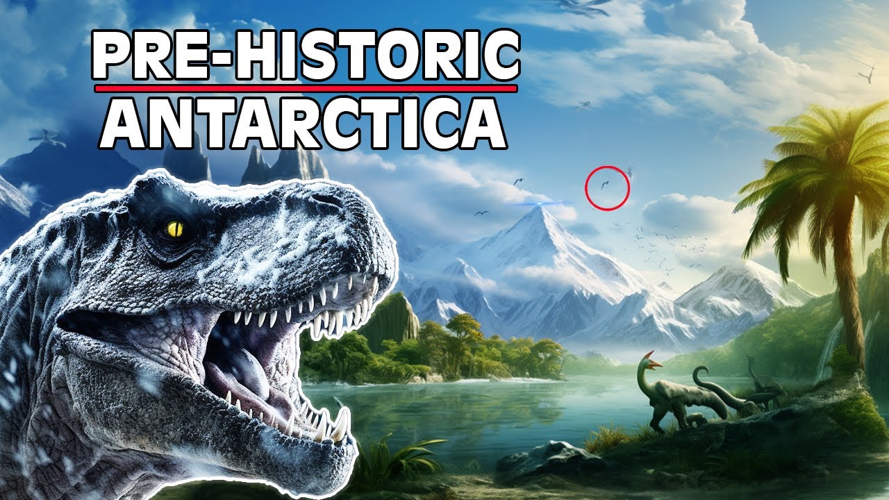 Was Antarctica A Jungle In Ancient History - YouTube