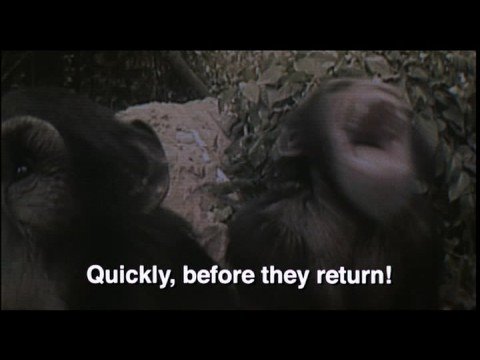 one clever chimp - YouTube