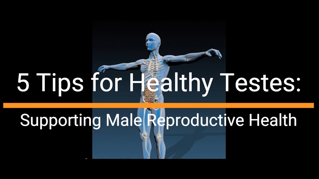 5 Tips for Healthy Testes Supporting Male Reproductive Health - YouTube