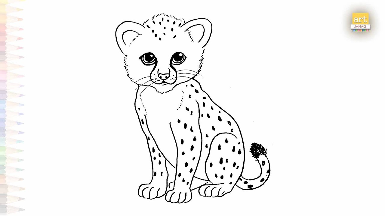 Baby Cheetah drawing easy | Animal art sketches | How to draw A Cheetah ...