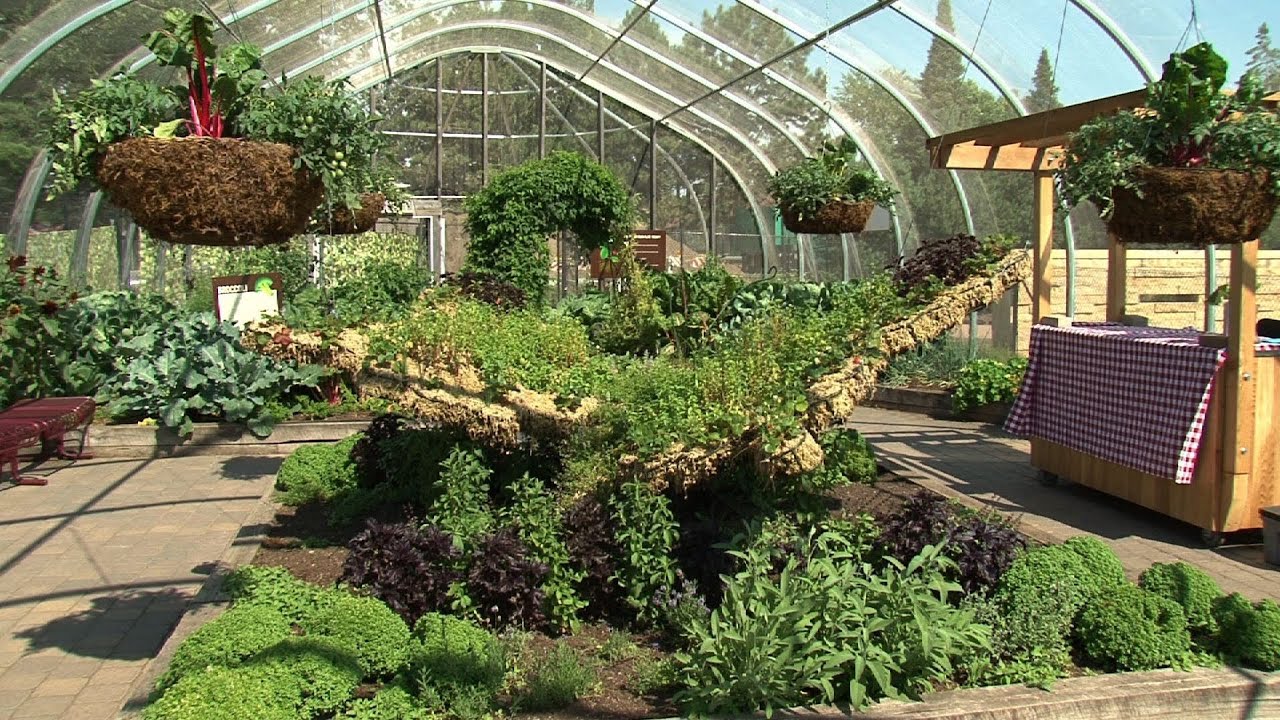 Chipotle Edible Gardens at Como Park Zoo and Conservatory - YouTube