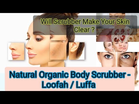 Organic Luffa / Loofah Scrub - Peerkangaai Naaru - Natural Herbal Body ...