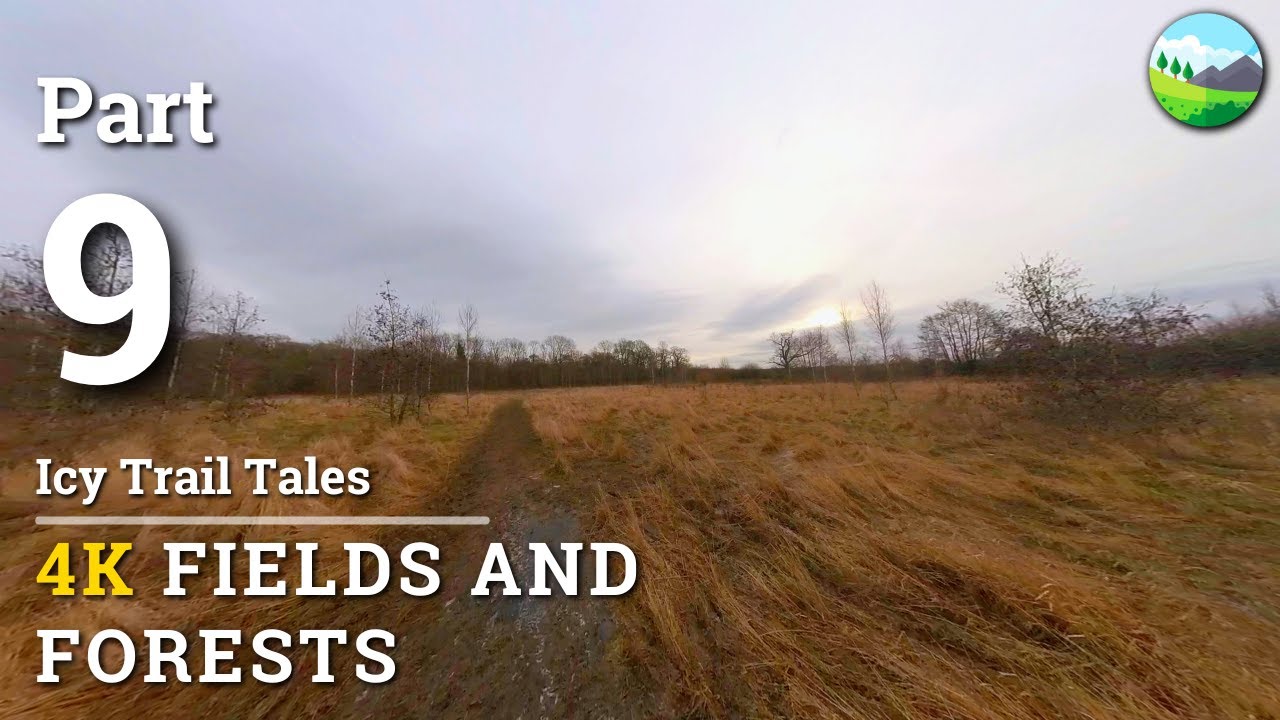 Icy Trail Tales - 4k Fields and Forest no music - YouTube