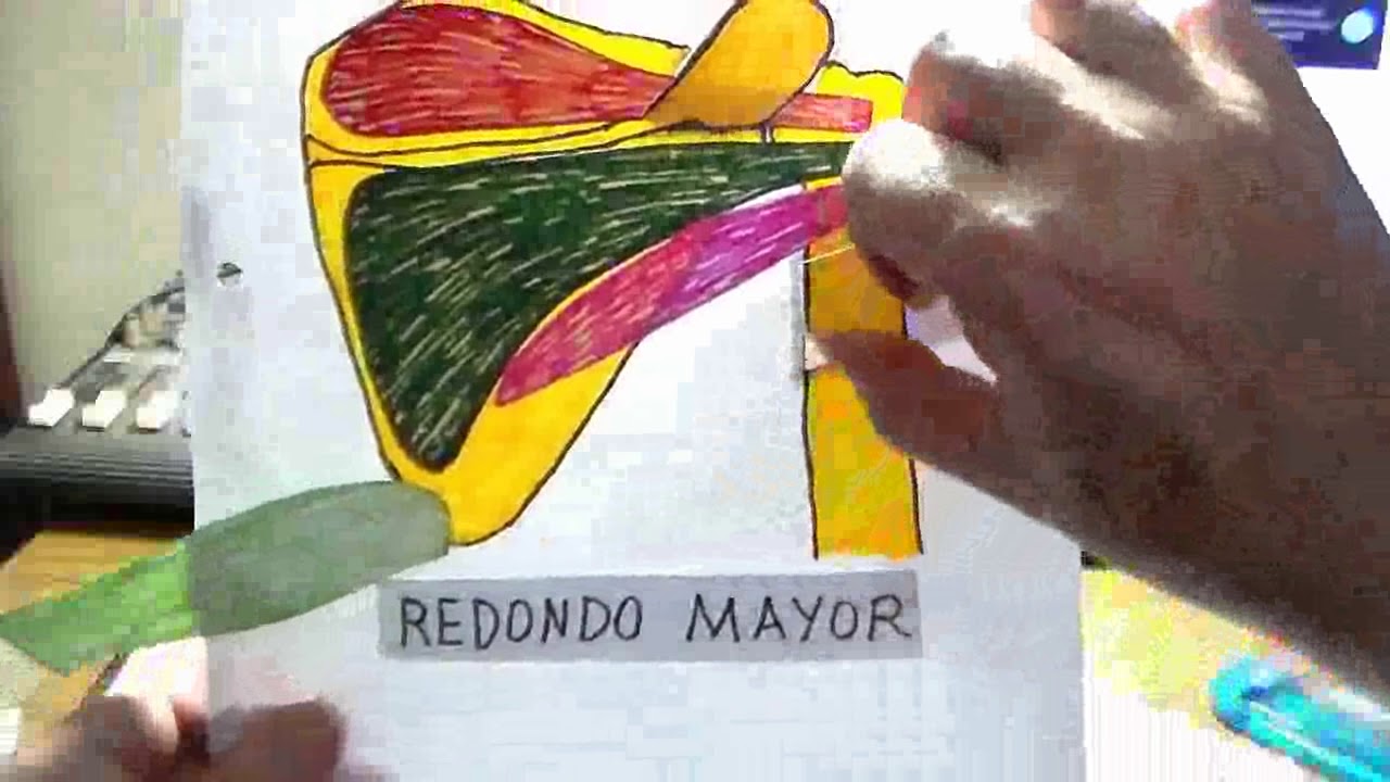 Anatomia para guitarristas, musculo redondo mayor por CRGomez - YouTube
