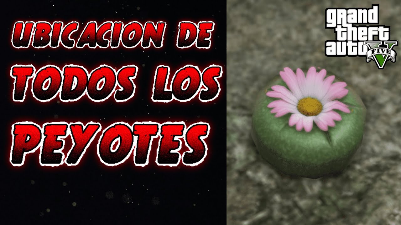 UBICACION de los 27 PEYOTES EN GTA 5 *FACIL* - YouTube