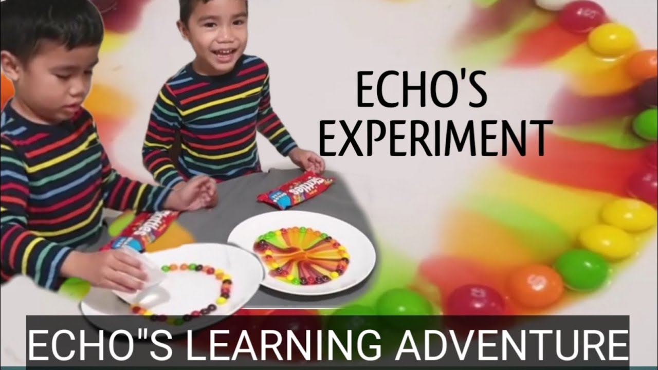 Echo's Experiment - YouTube