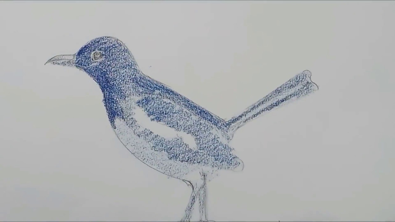 3D Drawing a Bird - How to Easy Draw and Color - step by step - YouTube