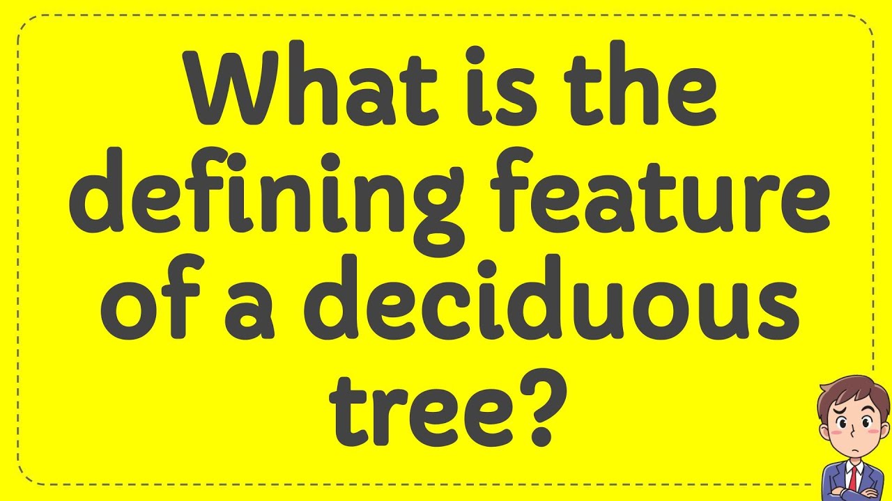 What is the defining feature of a deciduous tree? | Answer - YouTube