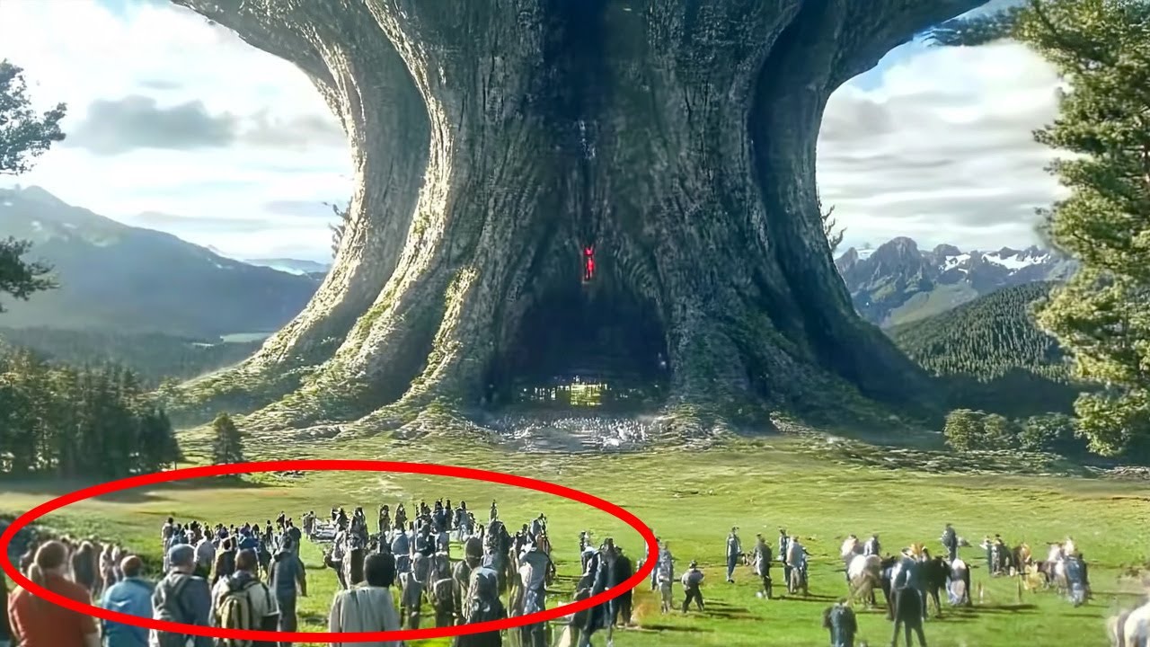 The Biggest Tree On Earth Is Bigger Than You Imagine - YouTube