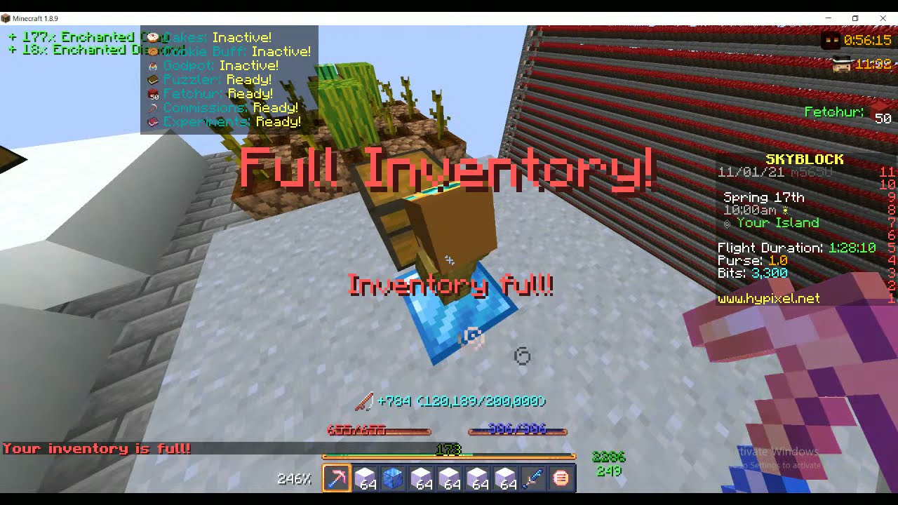 buying juju now (DAY 4) || hypixel skyblock || solo profile || BD ...