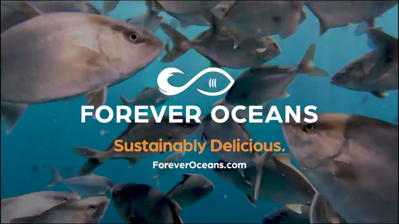 Sustainably Delicious Forever Oceans™ Kanpachi (Yellowtail) - YouTube