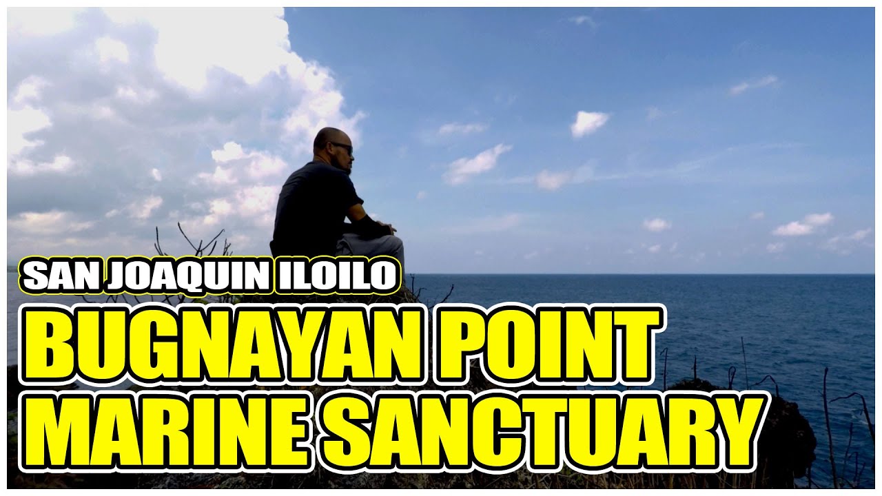 BUGNAYAN POINT MARINE SANCTUARY in San Joaquin Iloilo - YouTube