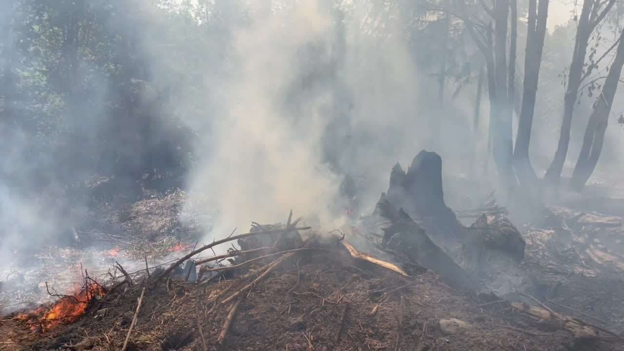 Kelso brush fire - YouTube