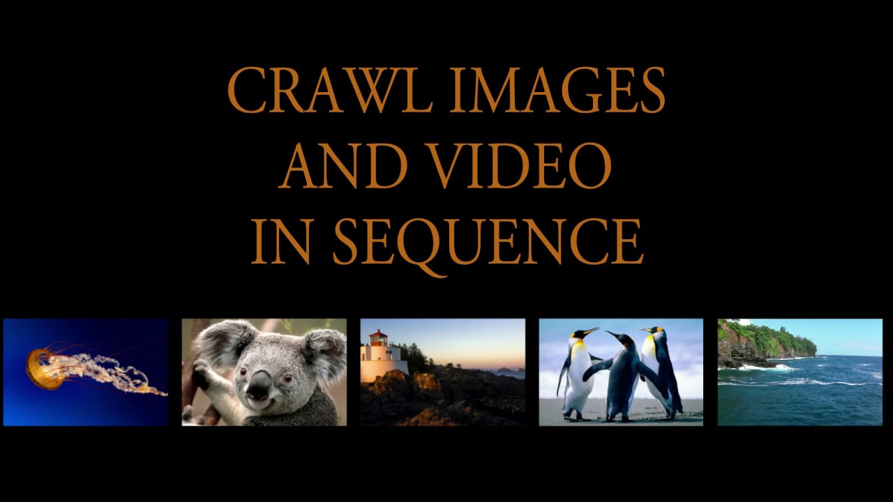 THE MULTIPLE IMAGE CRAWL TUTORIAL - YouTube