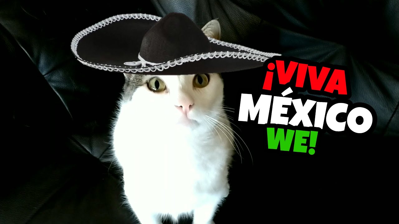 ¡VIVA MEMEXICO! (Memes #2) - YouTube