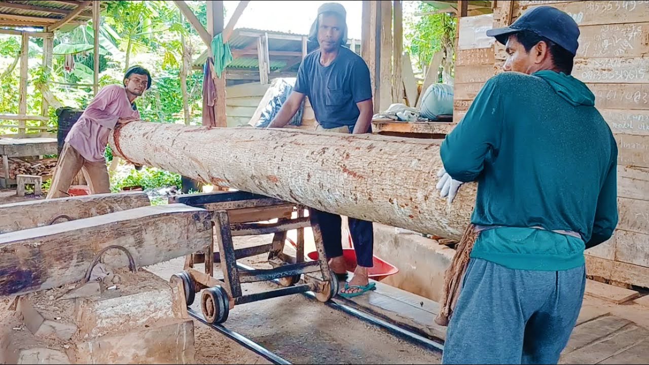 Colossal Wood Processing A Tour Of The Biggest Sawmill - YouTube