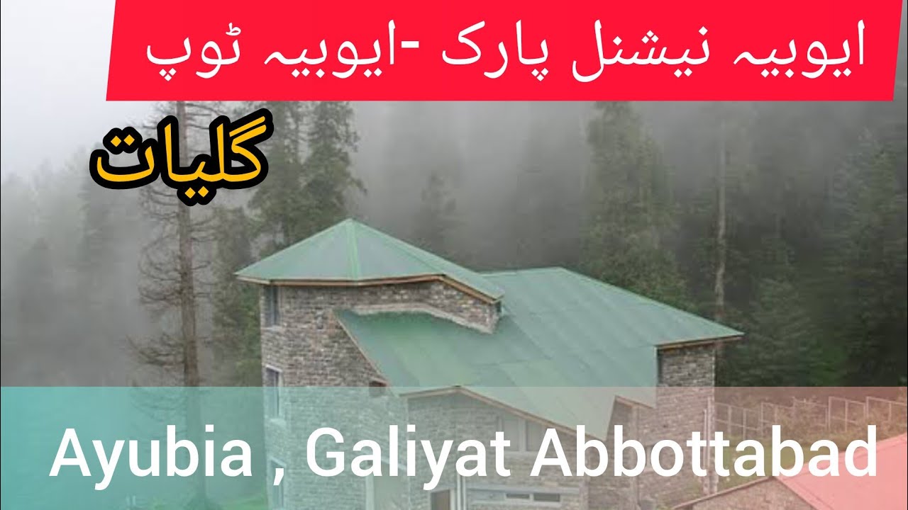 Ayubia National Park & Galiyat in 4K | Ayubia's Hidden Secrets Revealed ...
