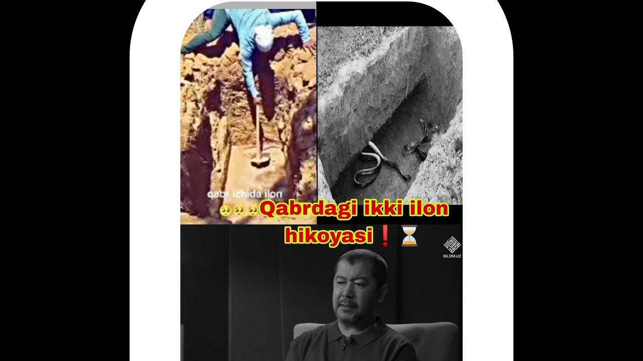 Qabrdagi ikki ilon hikoyasi-Hayrulla Hamidov taʼsirli hikoya qildi 😱 🎧📖 ...