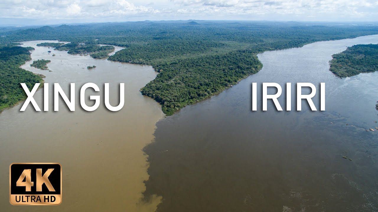 Rio Iriri visto de cima: mudança das águas na seca e cheia - YouTube
