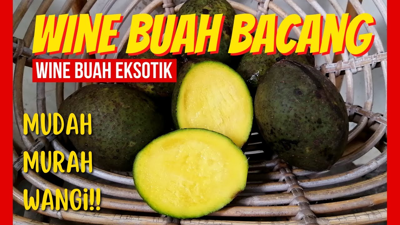 Wine Buah Bacang/Pakel. Buah eksotik kerabat mangga #winebacang #wine # ...