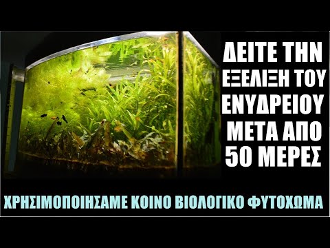 ΤΟ ΦΥΤΕΜΕΝΟ ΕΝΥΔΡΕΙΟ ΤΟΥ ΦΤΩΧΟΥ (ΤΕΜΠΕΛΗ) ΒΗΜΑ ΒΗΜΑ ... ΔΕΙΤΕ ΤΗΝ ...