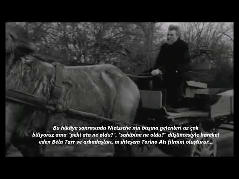 Torino Atı'nın Hikayesi