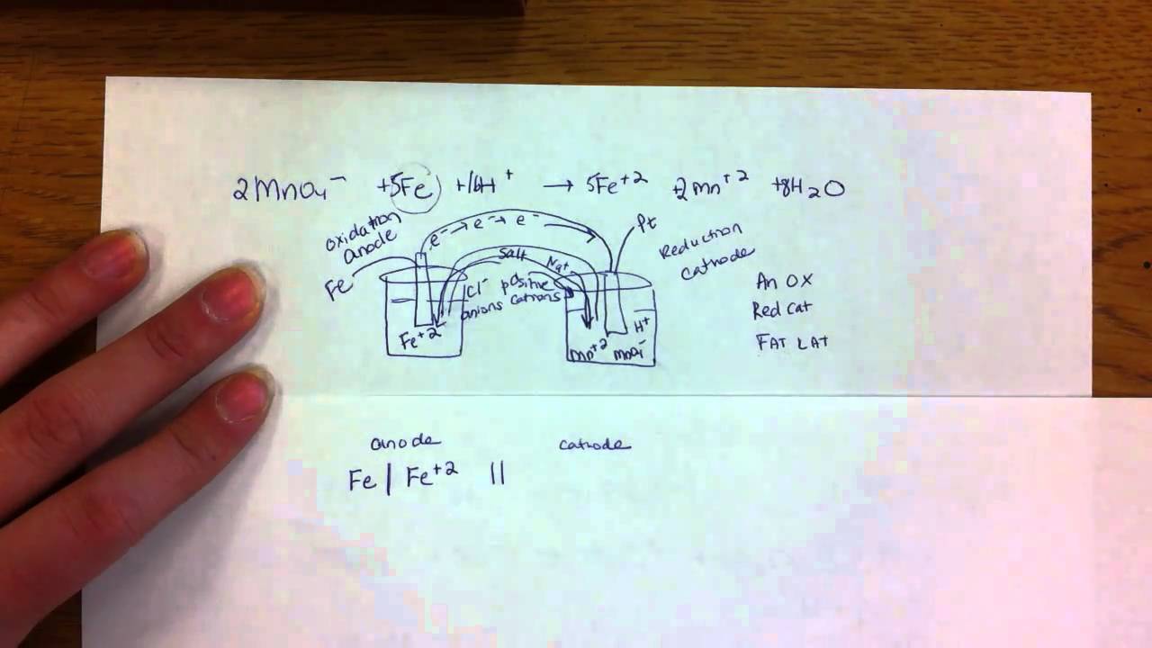 Standard Cell Notation YouTube standard-cell-notation-youtube