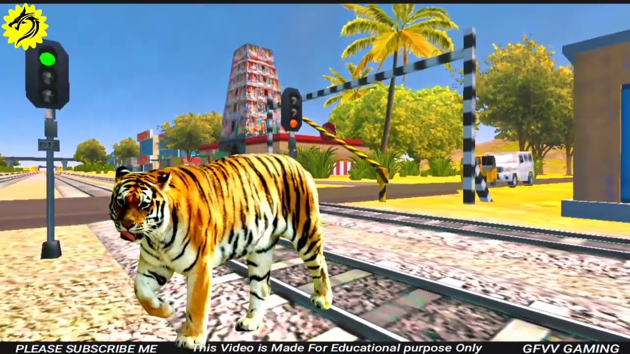 When Many Trains Were Going Together// A Big Tiger Lay on The Track of ...