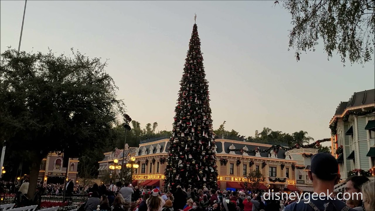 Disneyland: Town Square Christmas Tree Lighting Moment - YouTube