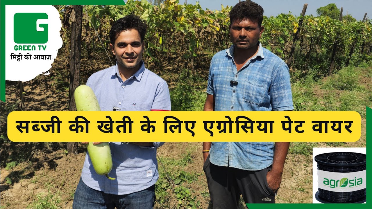 Agrosia Pet Wire for Your Mandava, Mandap, or Machan ! सब्जी की खेती ...