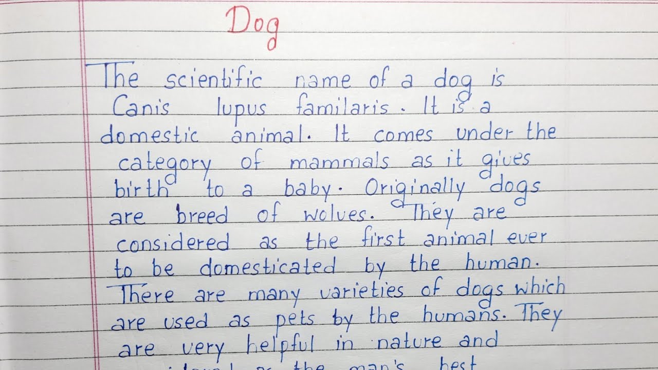 Write a short essay on Dog | Essay Writing | English - YouTube