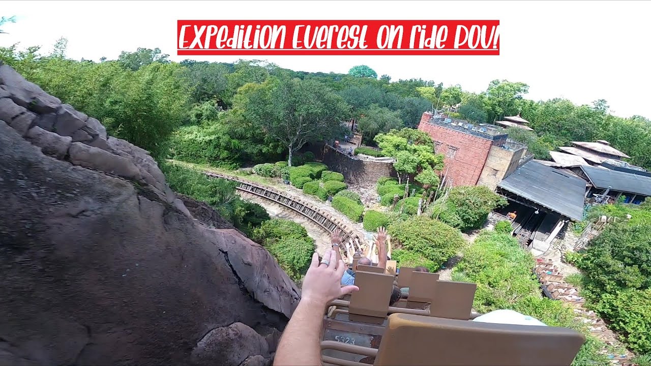 Expedition Everest on ride POV - Disney's Animal Kingdom! - YouTube