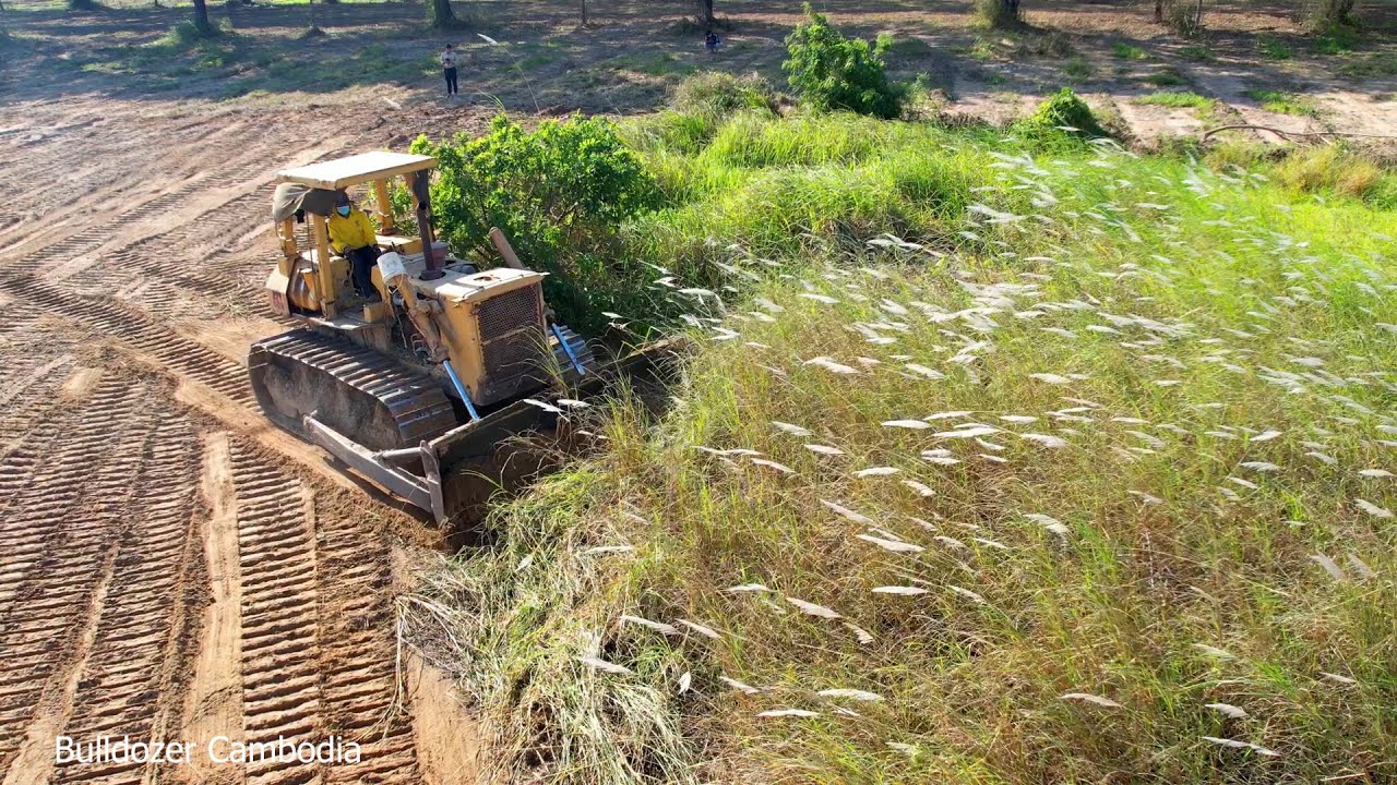 lncredible Powerful Dozer Kumat’su Use Powerful Pushing Clearing Forest ...