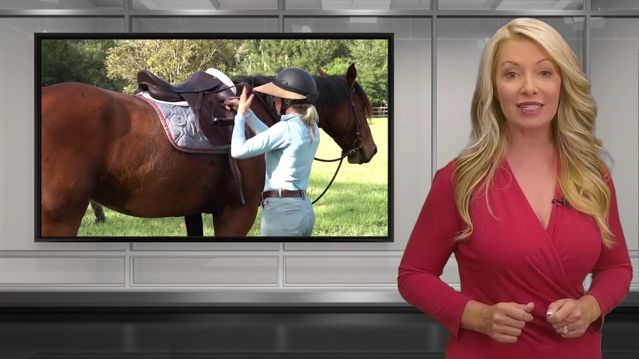 Shawna Lewis Licensed Dressage Naturally Instructor - YouTube