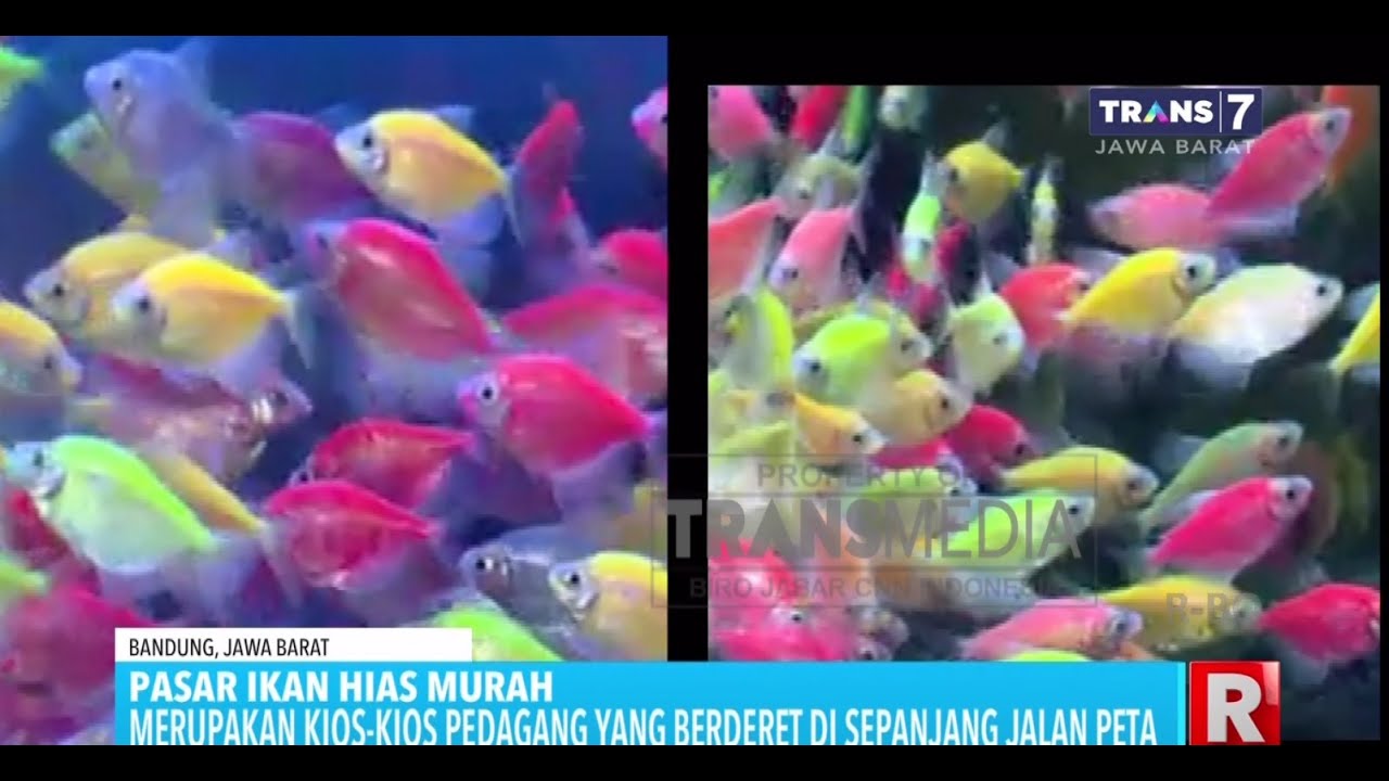 ️ BENGEK - YouTube