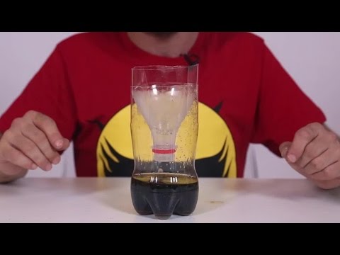 Evde Sinek Kapanı Nasıl Yapılır?