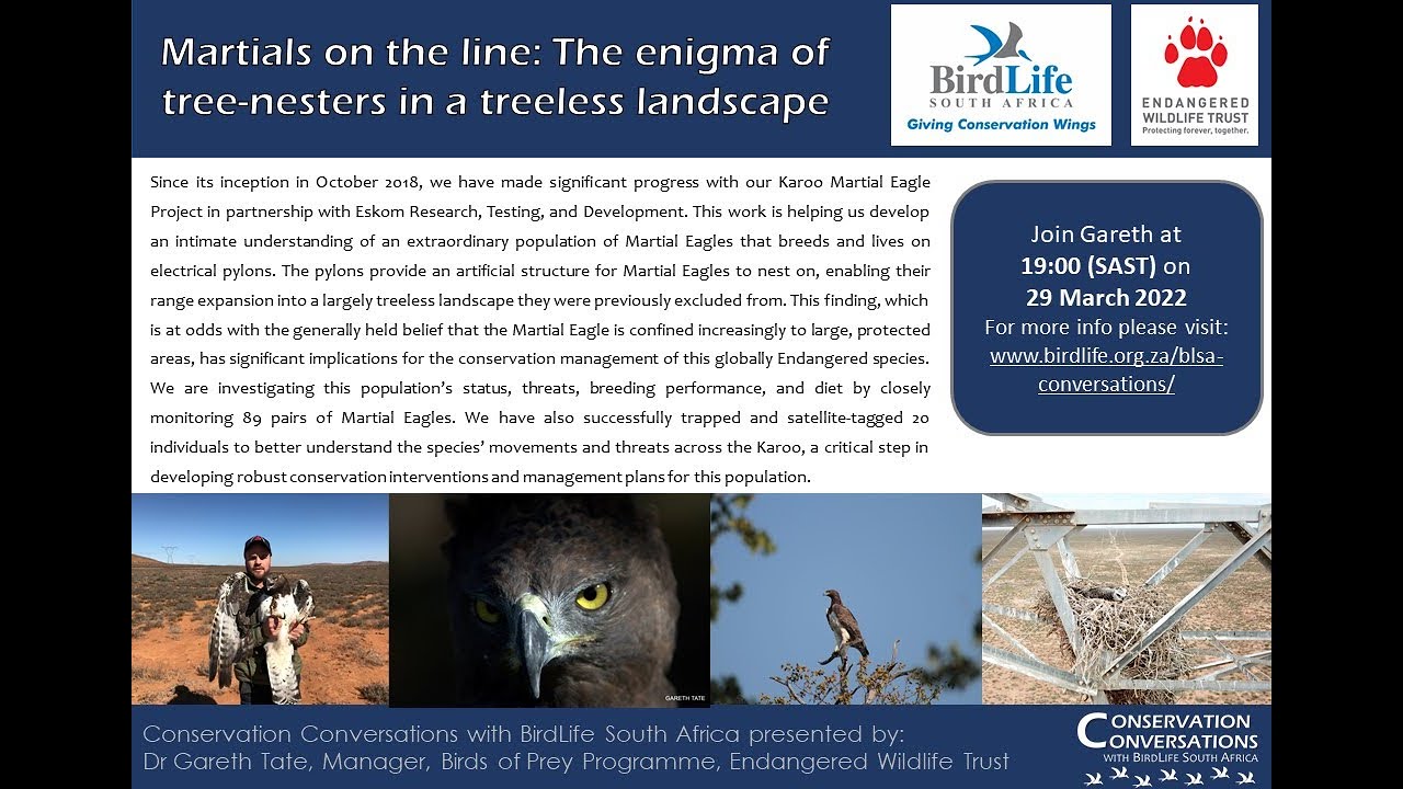 Conservation Conversations: Dr Gareth Tate - Martial Eagles of the ...