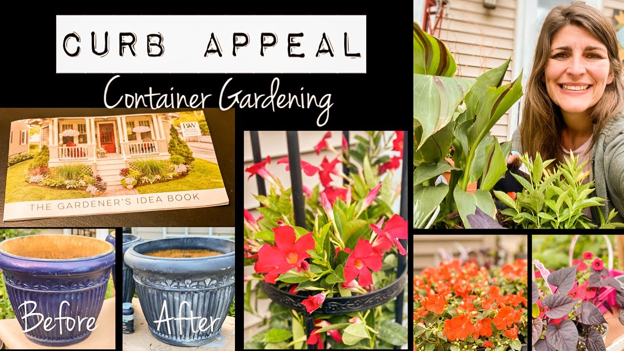 Container Landscaping Ideas Curb Appeal