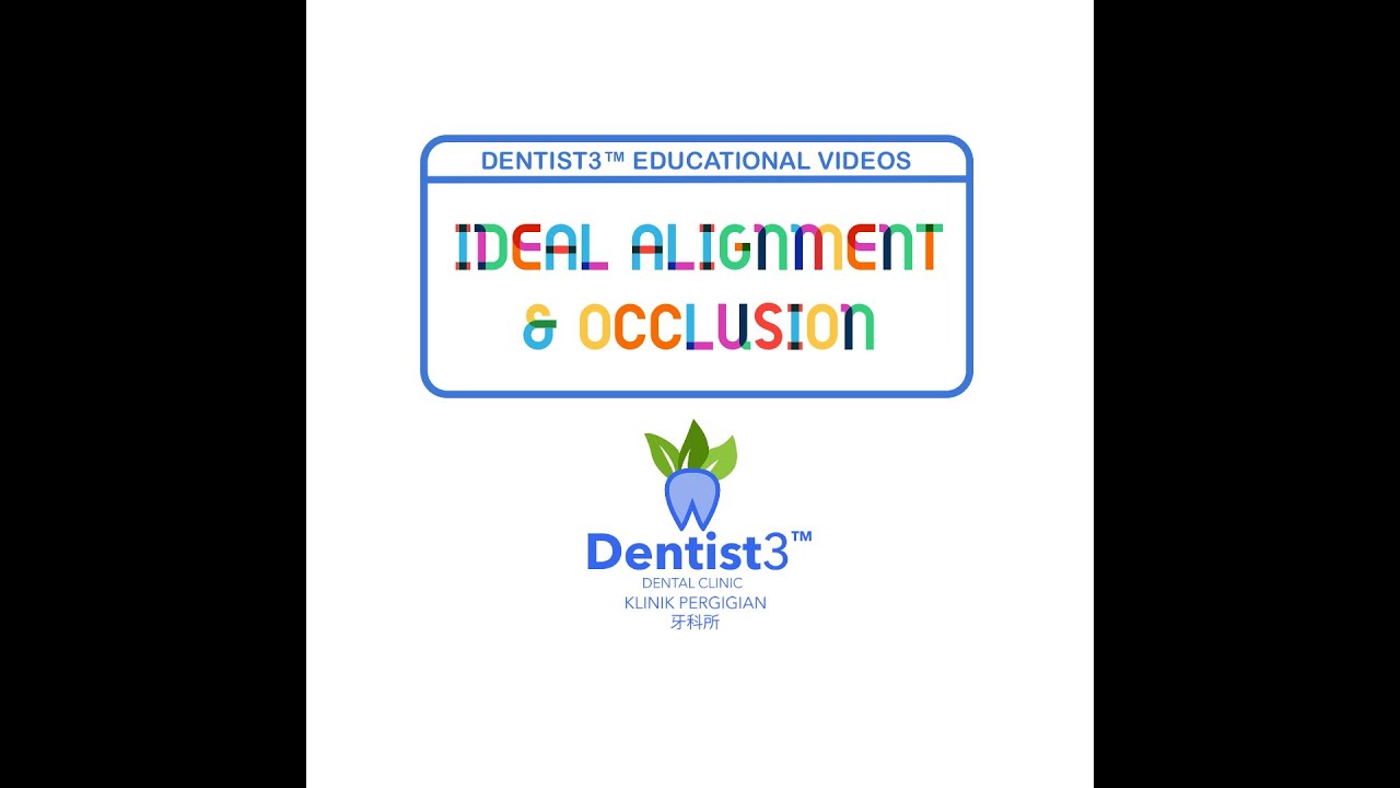 Ideal Alignment & Occlusion of Teeth - YouTube