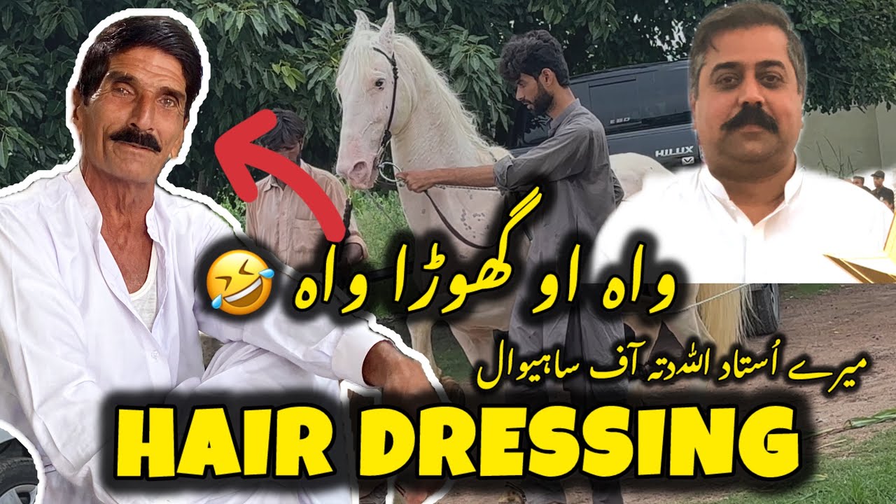 Prince of Parhal | Ustad ki cutting or Hair color krwaya | Horse dance ...