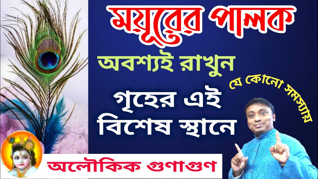 ময়ূরের পালকের উপকারিতা | Peacock Feather Benefits | Reiki Knowledge ...