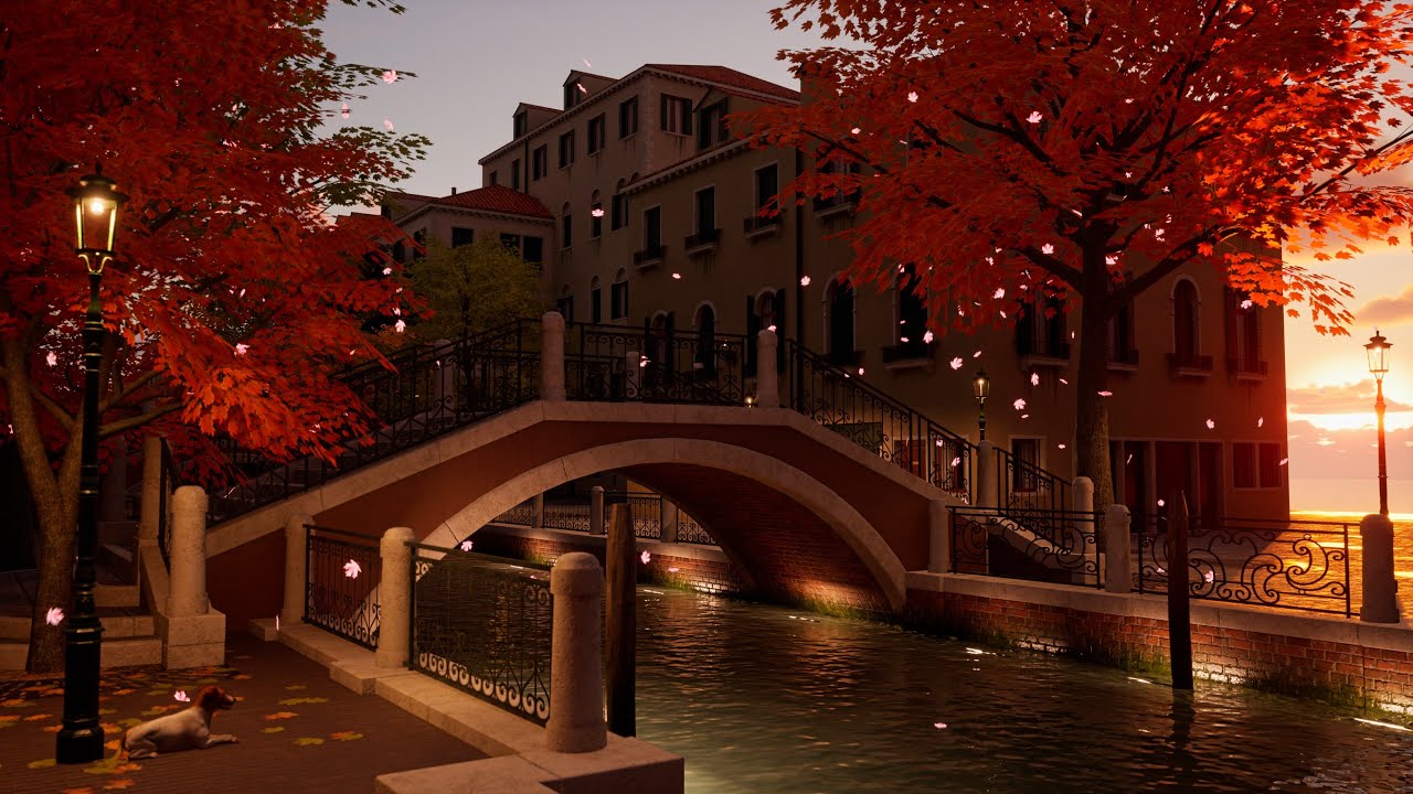 Autumn Street Ambience | Relaxing Stream ASMR | Crickets Sounds for ...