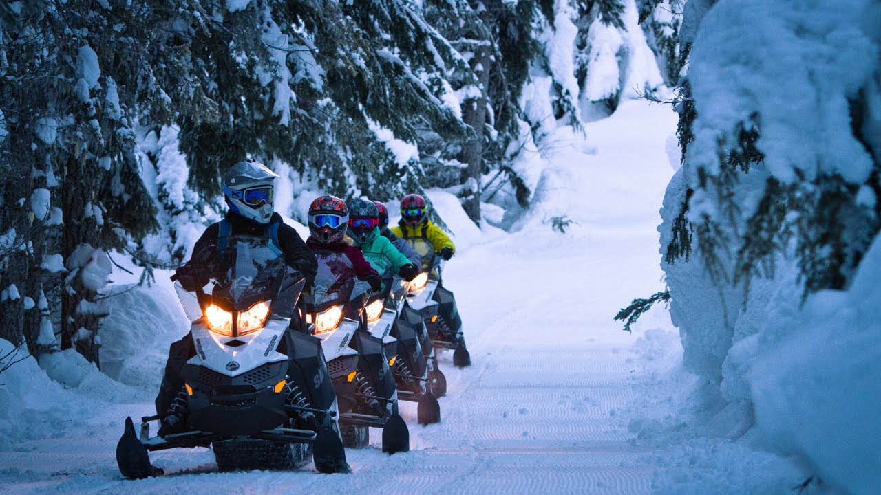 Unique Winter Activity: Snowmobile Ride Through The Beautiful Whistler ...