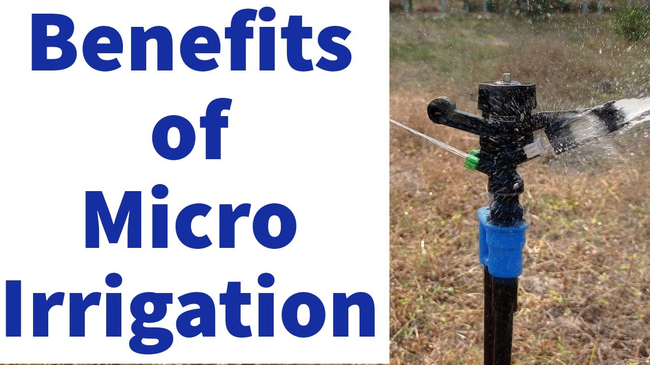 Benefits of Micro Irrigation System | Farmer Review | MIcro Irrigation ...